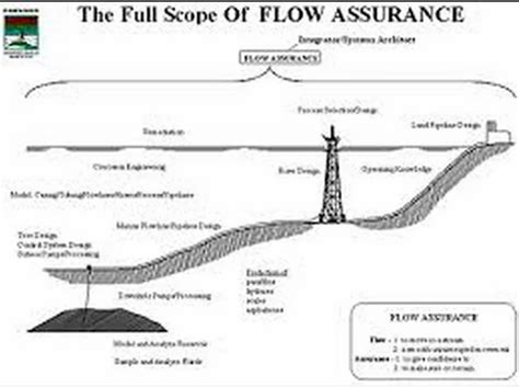 Flow Assurance In Hyderabad Id 7062977655