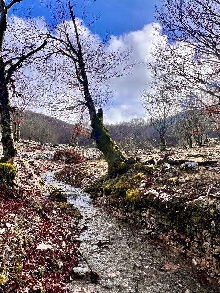Anello Monte Malaina Con Guida Trekking Hiking