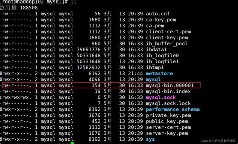 Flink CDC实践含实操步骤与截图 flink cdc 实践 CSDN博客