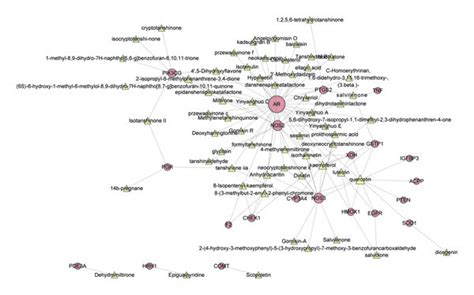 C T Network Through Molecular Docking Validation 61 Potential