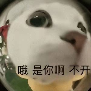 关门表情包图片 求表情网 斗图从此不求人