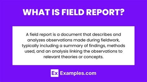 16 Field Report Examples To Download