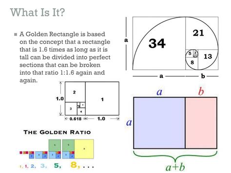 Ppt Proportion Scale And The Golden Mean Powerpoint Presentation Id