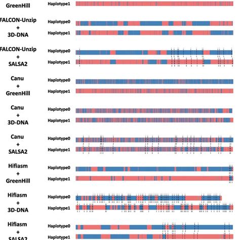 alignment dot plots for the cow scaffolds on the chromosome 1 dot download scientific diagram