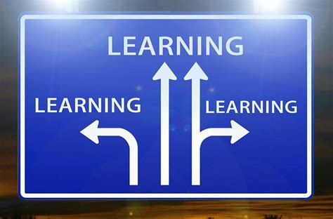 Pursuing A Degree In Speech Language Pathology Rehab Alternatives