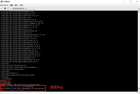 2023第五届 Real World Ctf 体验赛 Writeup（web）real World比赛 Csdn博客