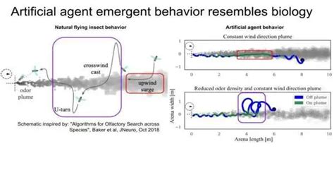 A Deep Reinforcement Learning Technique That Enables Artificial