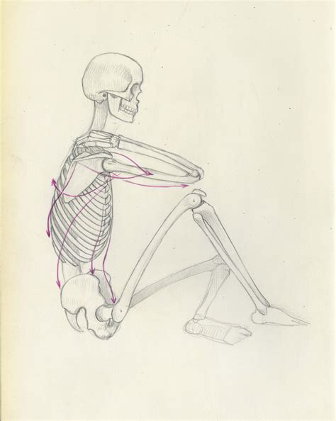 A Few More Day Left To Sign Up For My Basic Anatomy Online Course At