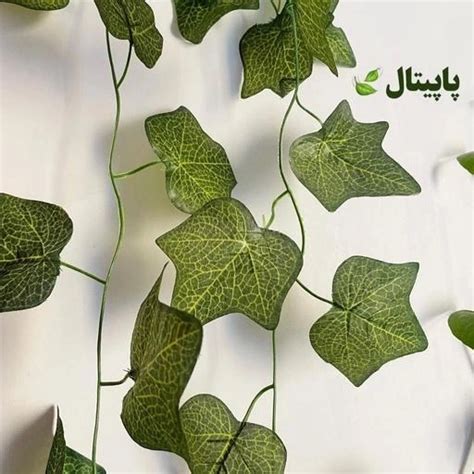 خرید و قیمت ریسه برگ مصنوعی دکوری پاپیتال مدلی برگ انگوری ترب