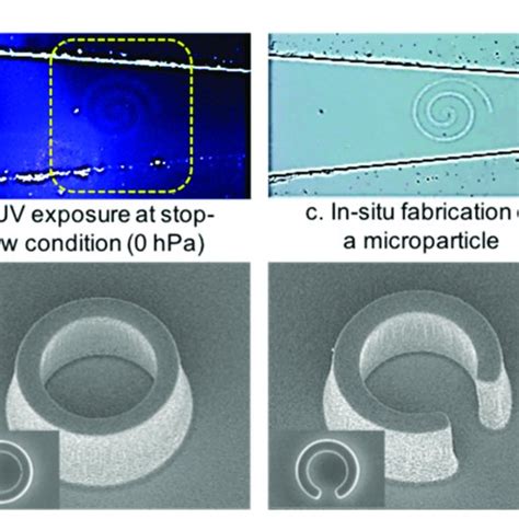 In Situ Fabrication Of Polymeric Microparticles In A Tapered Download Scientific Diagram