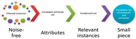 Simultaneous Instance And Attribute Selection For Noise Filtering