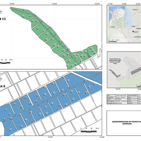 Spatial Distribution Of The Productive Banana Units For Sampling