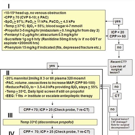 The Intracranial Pressure Icp Cerebral Perfusion Pressure Cpp