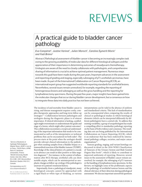 Pdf A Practical Guide To Bladder Cancer Pathology