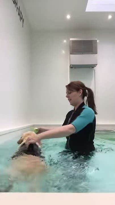 1 Boycee Birthday Swim Apr 2019 Youtube