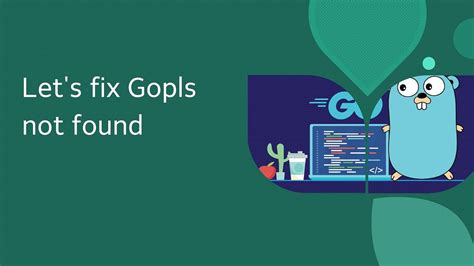 how to fix gopls was not able to find modules by aditya narayan nayak