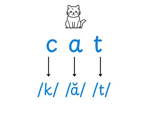 What Is Orthographic Mapping And Its Role In Learning To Read Viva Phonics