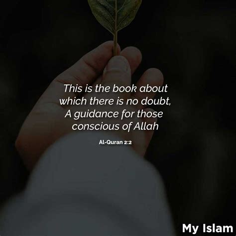 Beautiful Quran Quotes Best Quranic Quotes