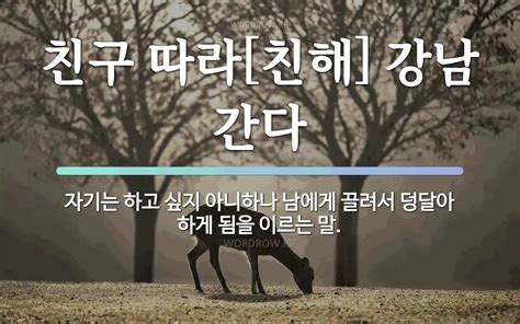 속담 친구 따라[친해] 강남 간다