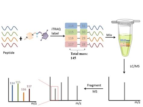 Proteomics Approaches To Studying Protein Relative Quantification