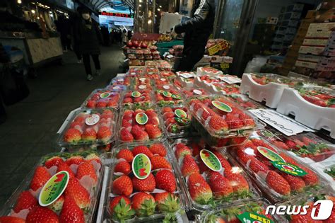 가격 상승한 딸기 뉴스1