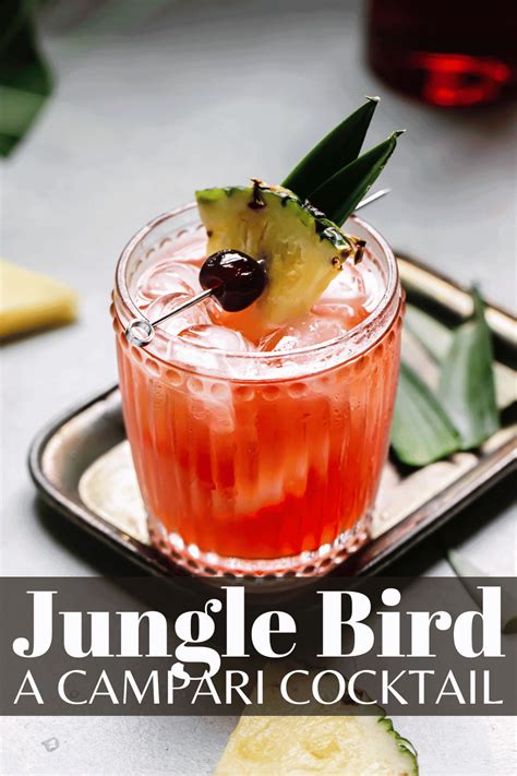 Jungle Bird Cocktail Recipe