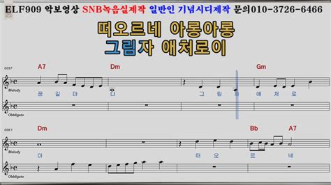 울어라기타줄 손인호 Youtube