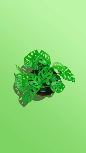 Premium Photo 3d Render Object Isolated On Background