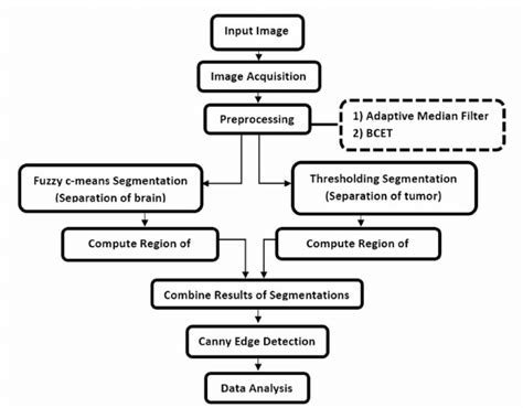 The Proposed Algorithmic Scheme For Processing And Analyzing The Mri