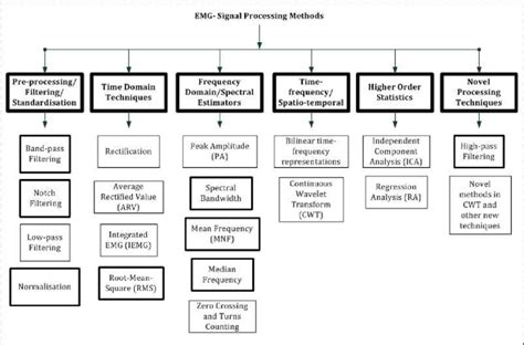 Schematic Detailing Various Signal Processing Techniques Commonly Used Download Scientific