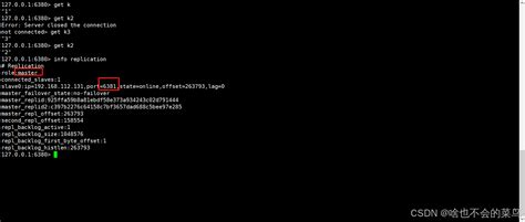 redis7——基础篇（六） redis哨兵模式 客户端修改 csdn博客