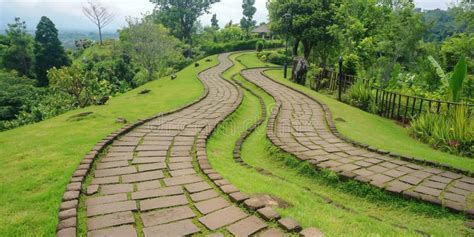 Global Aviation Connectivity A High Tech Airplane Navigating Through A Digitized World Map