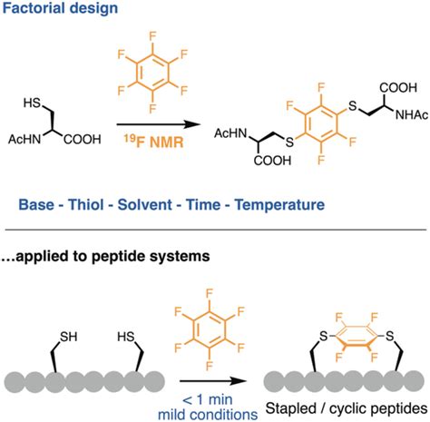 Peptide Science Wiley Online Library