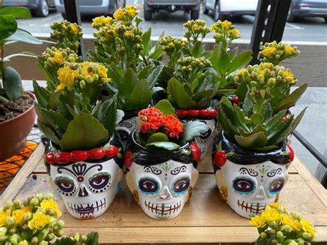 Trader Joes Just Dropped Adorable Mini Totes Tinybeans