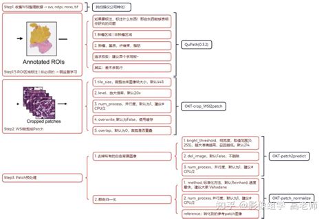 赠送病理组学课程 影像组学人工智能应用 Chatgpt论文润色 影像组学平台 知乎