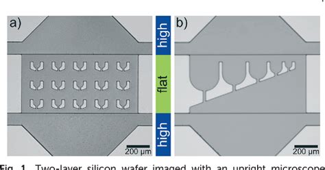 Figure 1 From Dynamics Of Counterion Induced Attraction Between