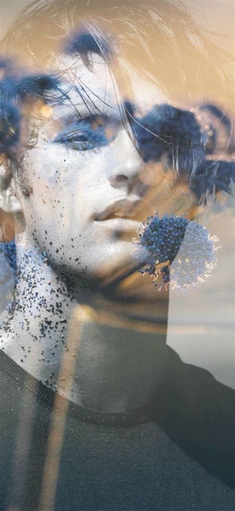 Dead Leaf By Dirkozz On Deviantart