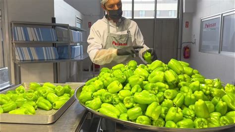 500 Kg Biber Dolması Ayıkladık Biberdolmasi Catering Polesancatering Youtube