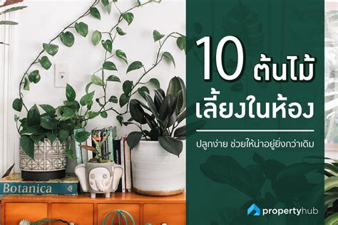 10 Propertyhub เว็บรวมประกาศ คอนโด บ้าน ที่ดิน