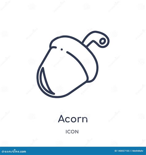 Linear Acorn Icon From Fruits Outline Collection Thin Line Acorn Icon