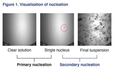 Understand Seeding Through Secondary Nucleation Measurements With The Crystalline Instrument