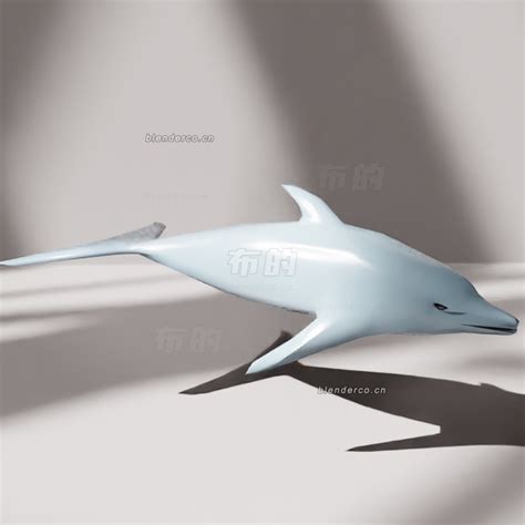 Blender低多边形风格的海豚模型 Blender布的08 Blender布的