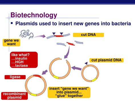 Ppt Plasmids Powerpoint Presentation Free Download Id6241107