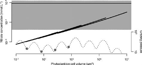 The Large Curves Are The Ideal N Curves Without Considering Light Or Download Scientific