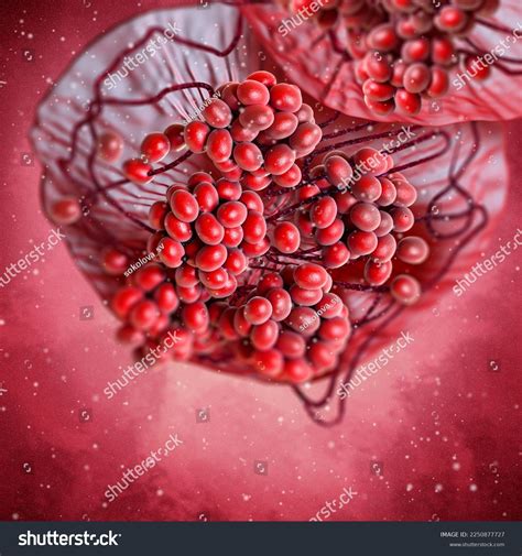 Medical Background Staphylococcus Aureus Type Spherical Stock Illustration 2250877727 Shutterstock