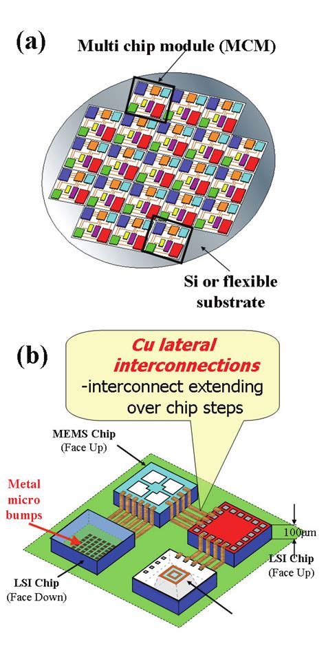 A Schematic View Of Heterogeneous Multichip System Module B Download Scientific Diagram