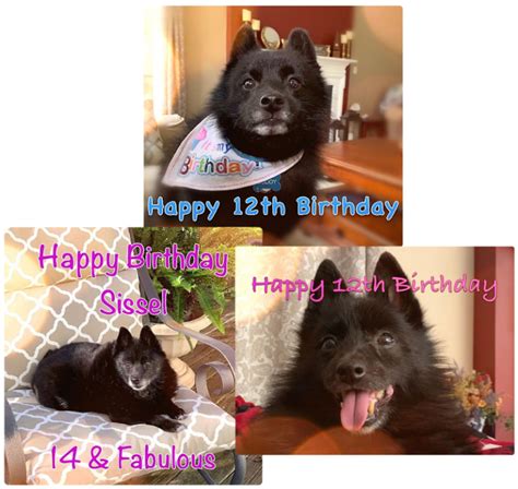 Sullys Rants Rants Opinions News And Humor From The Mind Of Sully