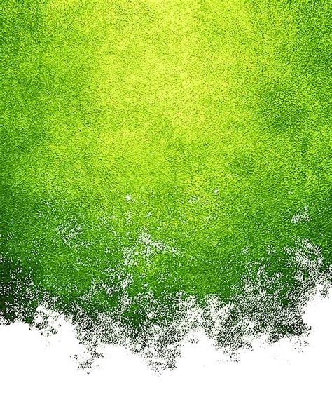 ภาพพื้นหลังสีเขียวสด ทุ่งหญ้า