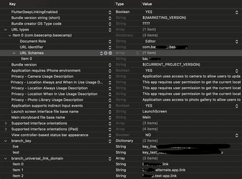 Flutter App Crashes On Opening Deep Link From Cold State Issue 382