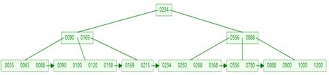 B Tree树 xycccode 博客园